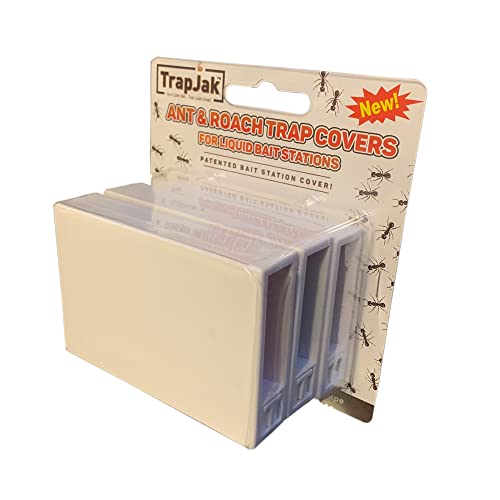 Top 10 Best Ant Traps For Home : Reviews & Buying Guide - Katynel