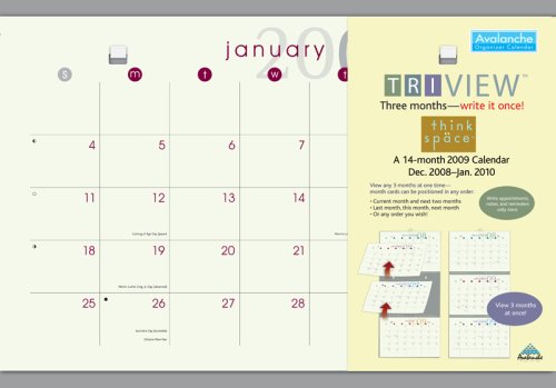 Thinkspace Tri-View 2009 Calendar: 14-month Calendar, December 2008 ...