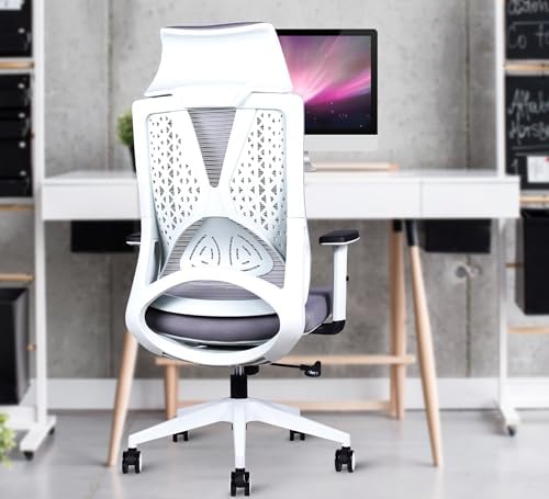DROGO Premium Ergonomic Office Chair for Work from Home, High Back ...