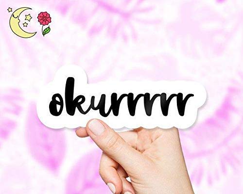 Amazon.com: Okurrr Sticker - for Laptops, Water Bottles and Windows ...