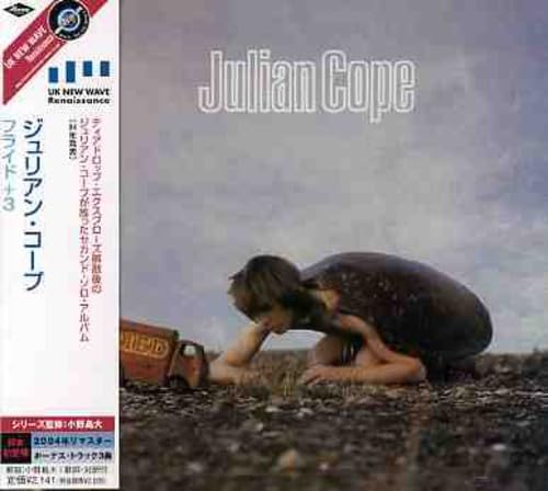 Fried : Julian Cope: Amazon.in: Music}
