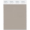 PANTONE SMART 16-0906X Color Swatch Card, Simply Taupe - House Paint ...