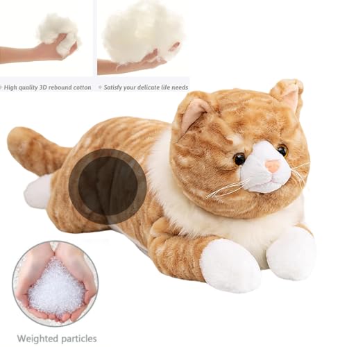 Snapklik.com : Fesmaro Cat Weighted Stuffed Animals - Weighted Cat ...