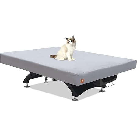 Amazon.com: 7/8/9FT Heavy Duty 600D Polyester Canvas Billiard Pool ...