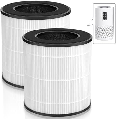 Amazon.com: B-D02U True HEPA Filter Compatible with VEWIOR H13 True ...