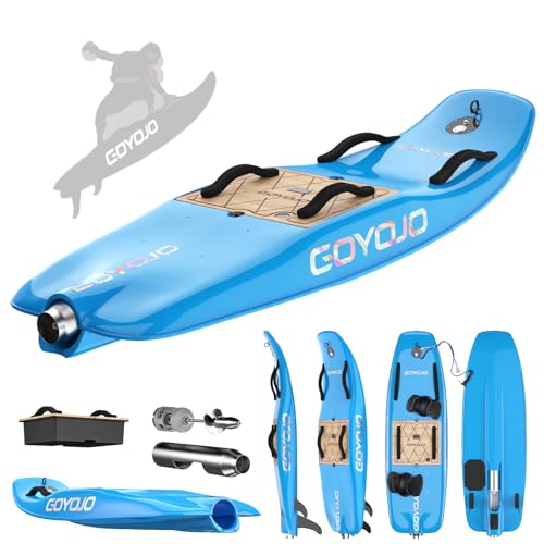 The 5 Best Electric Surfboards - Guidebook