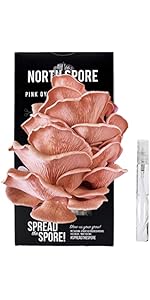 Amazon.com: (2-Pack) North Spore Organic Lion's Mane Mushroom Spray ...