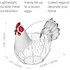 Amazon.com: Farmhouse Rustic White Chicken Wire Metal Egg Basket With ...