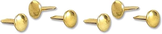 Amazon.com : ACCO Brass Paper Fasteners, 1/2", Plated, 1 Box, 100 ...
