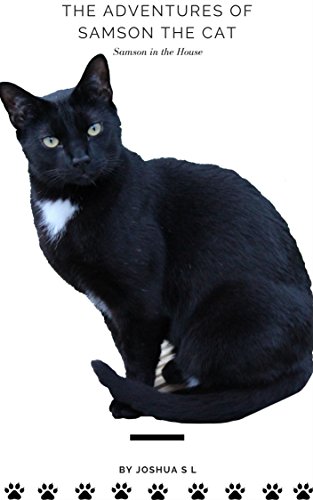 The Adventures of Samson The Cat: Samson in the House eBook : St Luce ...