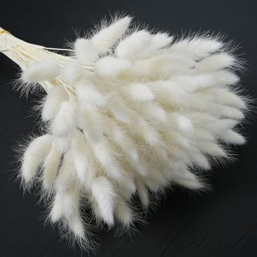 Amazon.com: 100 Pcs White Rabbit Tails Dried Grass with Pampas Grass ...