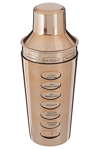 Premier Housewares 0507496 Recipe Cocktail Shaker 500ml, Stainless ...