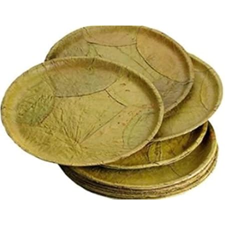 Natural Biodegradable Disposable SAL Leaf Plates | Eco Friendly ...