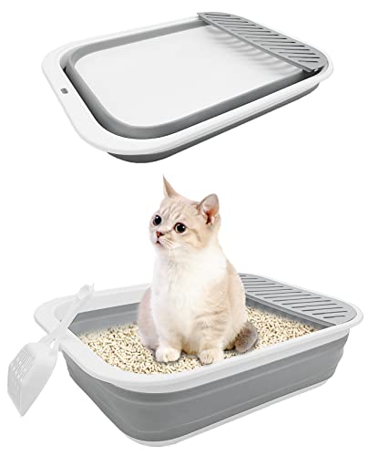 Litter Box for Kittens – The 15 best products compared - Wild Explained