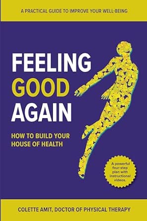 Feeling Good Again: How to Build Your House of Health: Amit, Dr ...