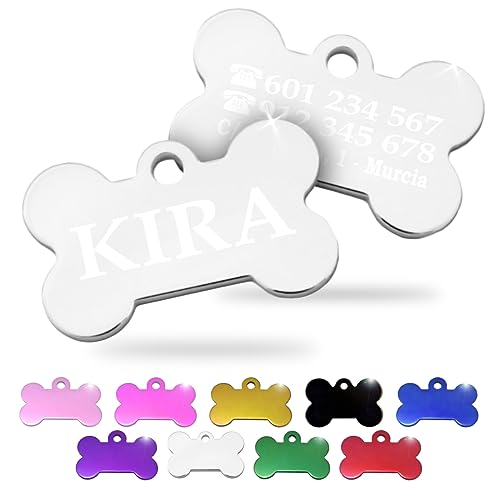 Las mejores chapas personalizadas para perros | Mundo Perros