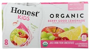 Amazon.com : Honest Kids Berry Good Lemonade Kids Drink 1x8 6.75 oz ...