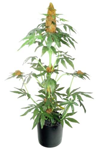 Amazon.com: Artificial Marijuana Plant (Large 30" inch+) Fake Weed ...