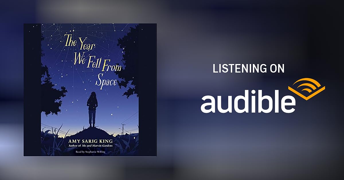 The Year We Fell from Space Audiobook by Amy Sarig King