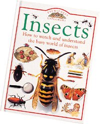 Insects: Michael Chinery: 9780851668734: Amazon.com: Books