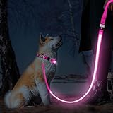 LED Dog Leash | The Green Head