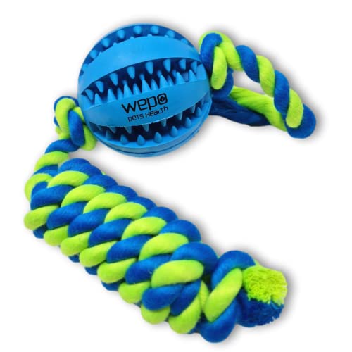 Beschäftigung Hund Drinnen – Die 15 besten Produkte im Vergleich ...