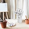 Amazon.com: Gasshia Flexible Hand Model Figure Poseable Art Mannequin ...