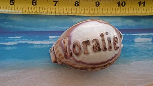 Amazon.com: 'Loralie' Personalized Custom Engraved Shells. Names ...