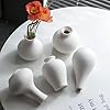 Amazon.com: Tanvecle Small White Vases, Ceramic Bud Vase Set of 5, Mini ...