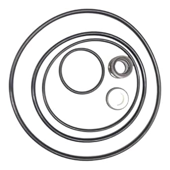 Amazon.com: Southeastern O-Ring Seal Repair Kit for Sta-Rite DynaGlas ...