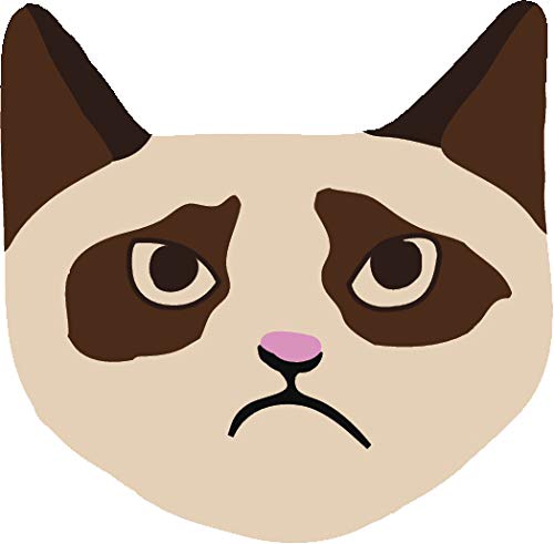 Grumpy Cat Face Cartoon