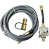 Amazon.com : Nexgrill Industries Inc 710-0008 Natural Gas Conversion ...
