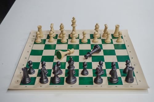 Buy ChessBase India Mini Chess Set Online at Low Prices in India ...
