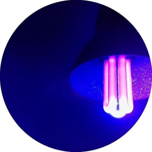 Play Top Ten EP by Otik on Amazon Music