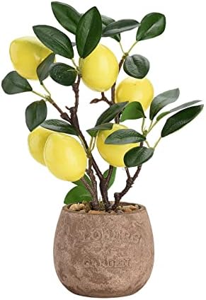 Amazon.com: Fake Lemon Tree Small Artificial Plant Fake Plastic Lemon ...