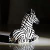 Amazon.com: Zebra Table Sculpture - Resin Zebra Figurine - Black, White ...