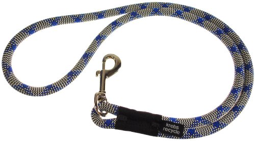 10 Best Recycled Dog Leashes to Buy in 2021 for Eco-Friendly and ...