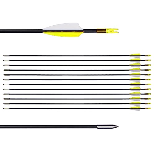Top 10 Best Arrows For Compound Bow : Reviews & Buying Guide - Katynel