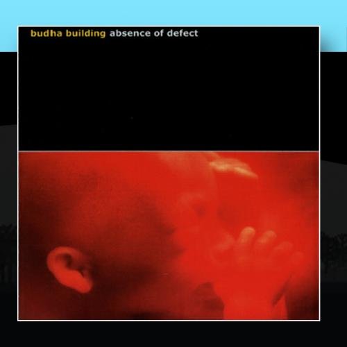 Amazon.com: Absence of Defect: CDs & Vinyl