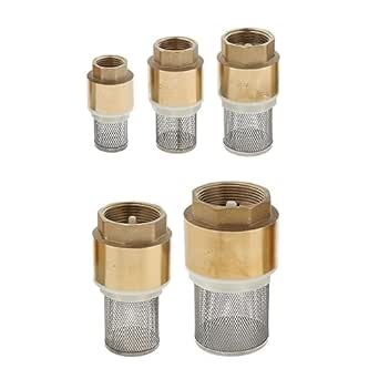Calandis™ Brass Foot Valve Mesh Check Valve With Strainer Filter Dn20 ...