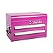 Amazon.com: The Original Pink Box PB218MC 18-Inch 2-Drawer 18G Steel ...