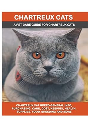 Chartreux Cats: Chartreux Cat Breed General Info, Purchasing, Care ...