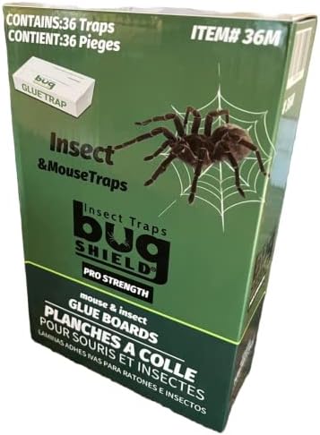 Amazon.com : Bug Shield Sticky Glue Traps 36 Glue Boards, All Types of ...