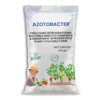 M-Tech Gardens Azotobacter Nitrogen Fixing Bacteria for All Crops, 100 ...