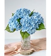 Amazon.com: SUMTIPHUN 3 Pcs Light Blue Real Touch Hydrangeas Artificial ...