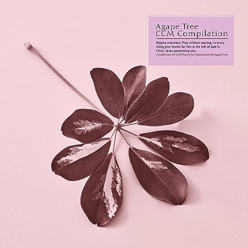 Play A Collection Of CCM Pianos For Repentance By Agape Tree by VARIOUS ...