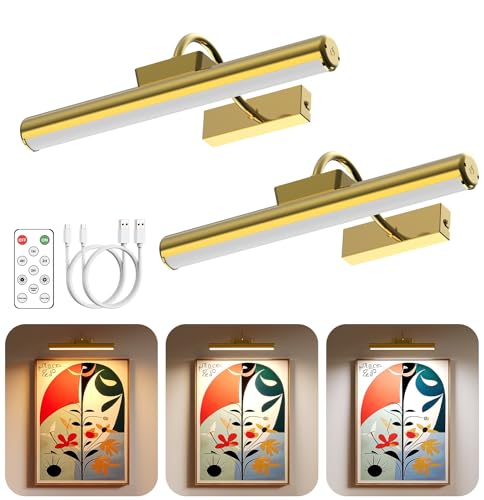 Amazon Best Sellers: Best Picture Lights & Mini Accent Spotlights