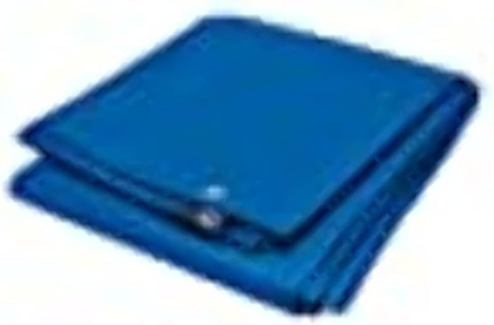 Amazon.com: Performance Tool W6004 (8 x 10 ft) Tarp Cover Blue ...