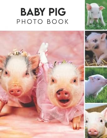 Baby Pig Photography Book: 2023 Photo Book Of Baby Pig With 30+ Photos ...