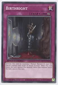 Amazon.com: YU-GI-OH! Birthright - SBC1-ENG18 - Common - 1st Edition ...
